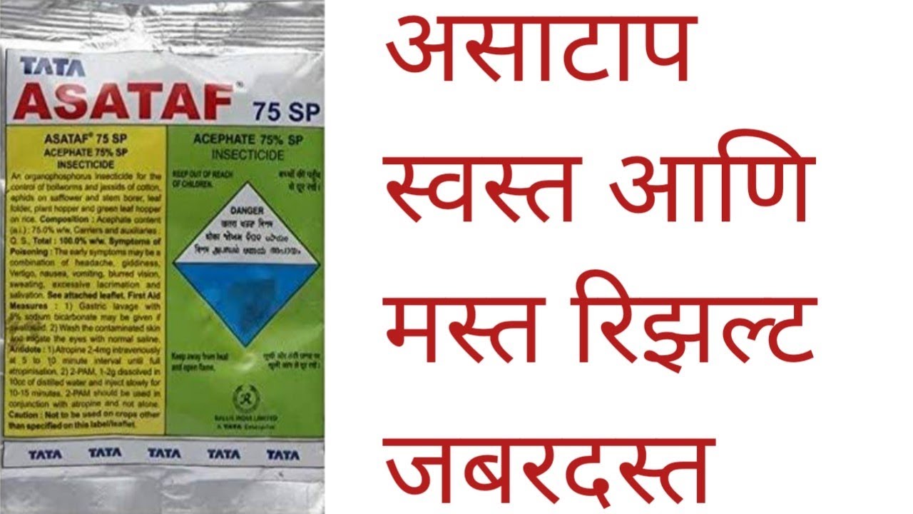 Asataf असाटाप कीटकनाशकाबद्दल सविस्तर माहिती - YouTube