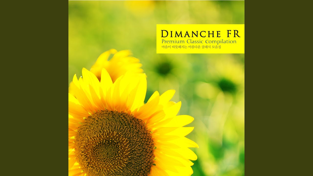 Slavonic Dances, Op.46 - I. Furiant. Presto - YouTube