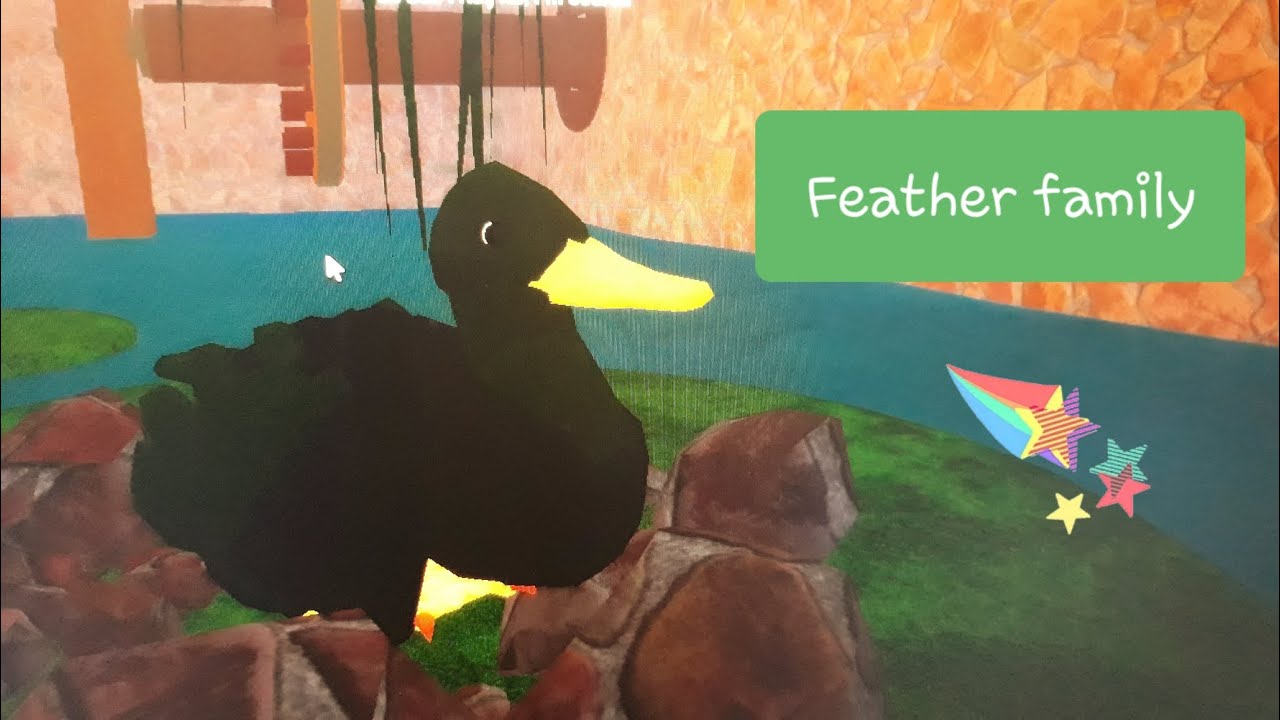 Duck🦆 en el universo de Feather Family (Roblox)🐣🐦🦅 - YouTube