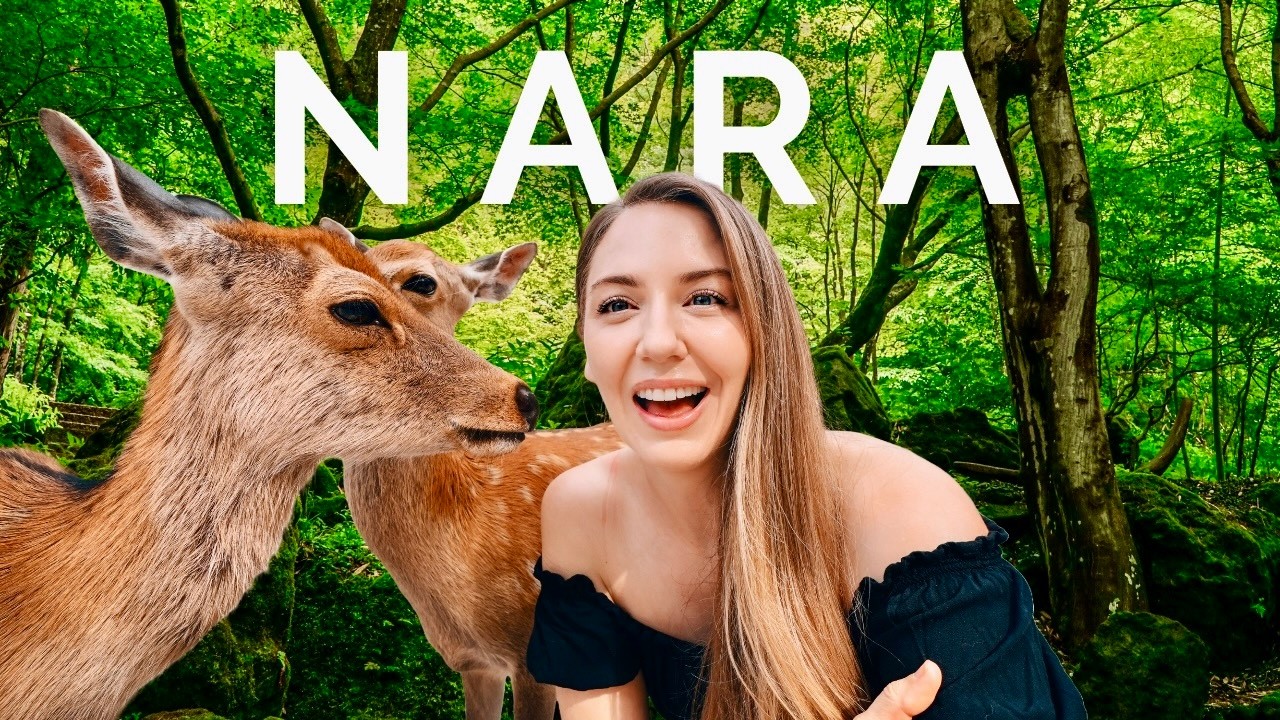 24 Hours in NARA Japan 🇯🇵 What to see, do & eat! - YouTube