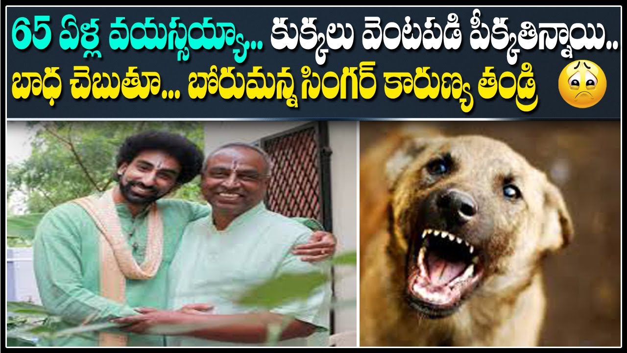 Singer Karunya Father N.C Madhu Emotional Comments on Street Dog Bites ...