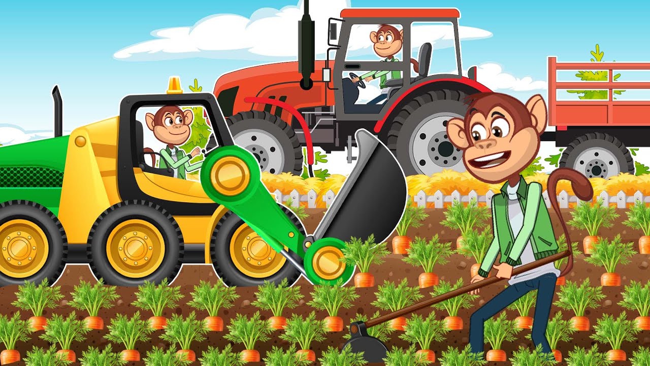 Farmer And Tractor On A Farm - Growing and Harvesting Carrots ...