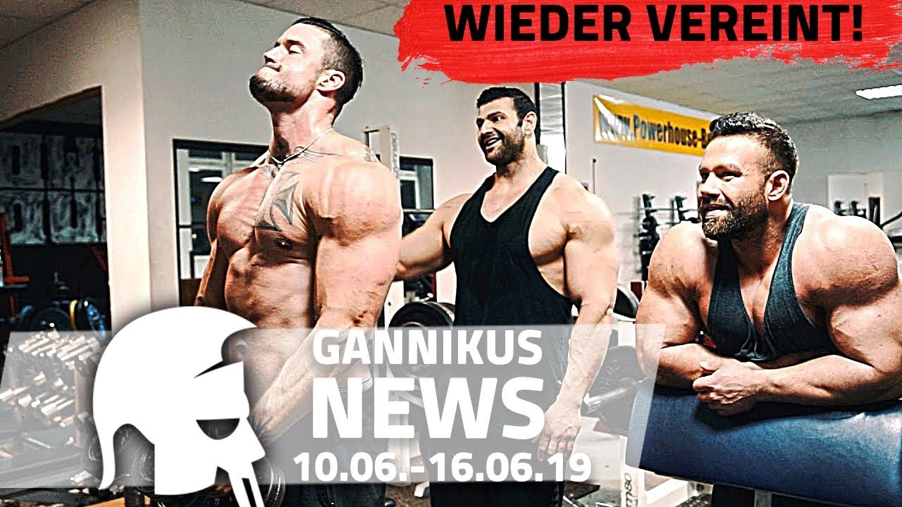 News - Hardgainercrew wieder vereint, Karl Ess beleidigt Tim Gabel, uvm ...