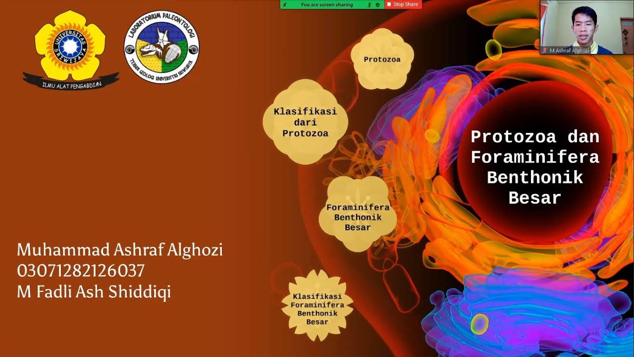 Protozoa dan Foraminifera Bentonik Besar Muhammad Ashraf Alghozi - YouTube