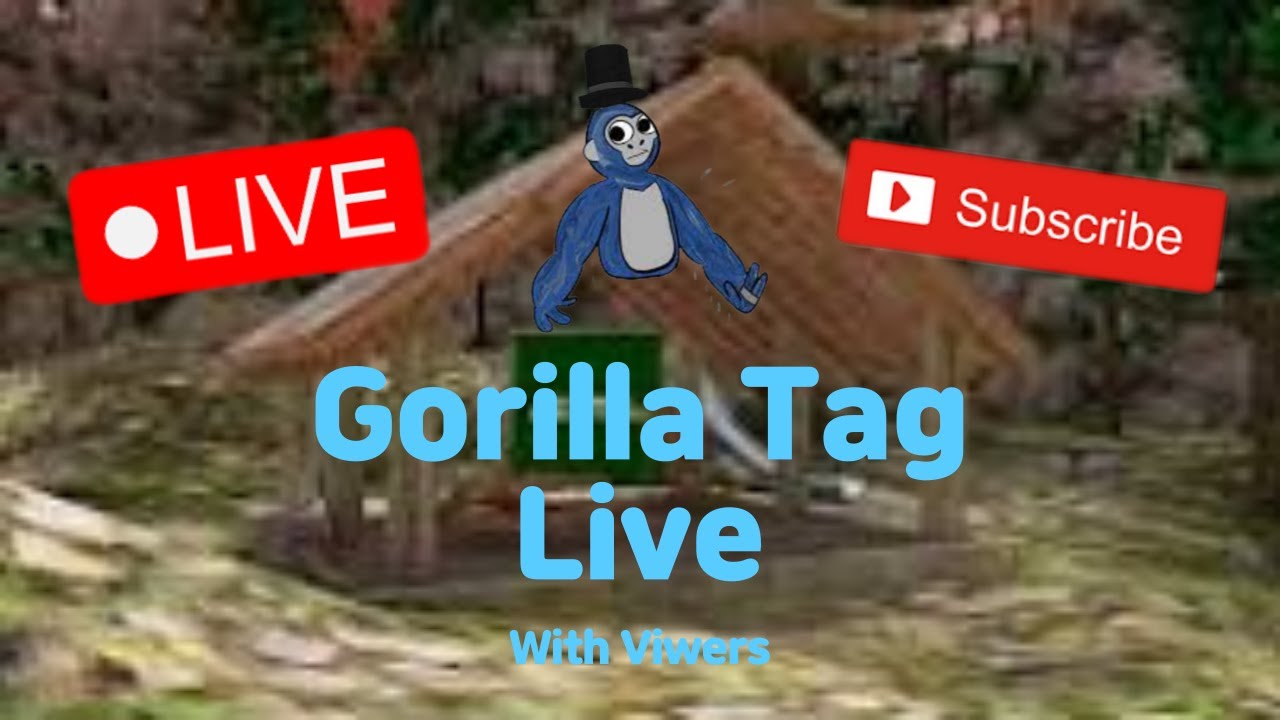 🔴LIVE GORILLA TAG WITH VIWERS🔴 - YouTube