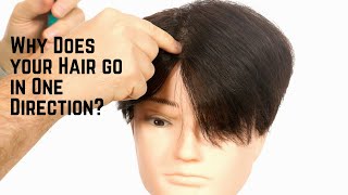 How to Train Your Hair to Go a Certain Way? - Beezzly