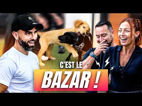 2 Chiots, 1 Chat : À L'AIDE ! 😱 ft. @LatelierdeRoxane