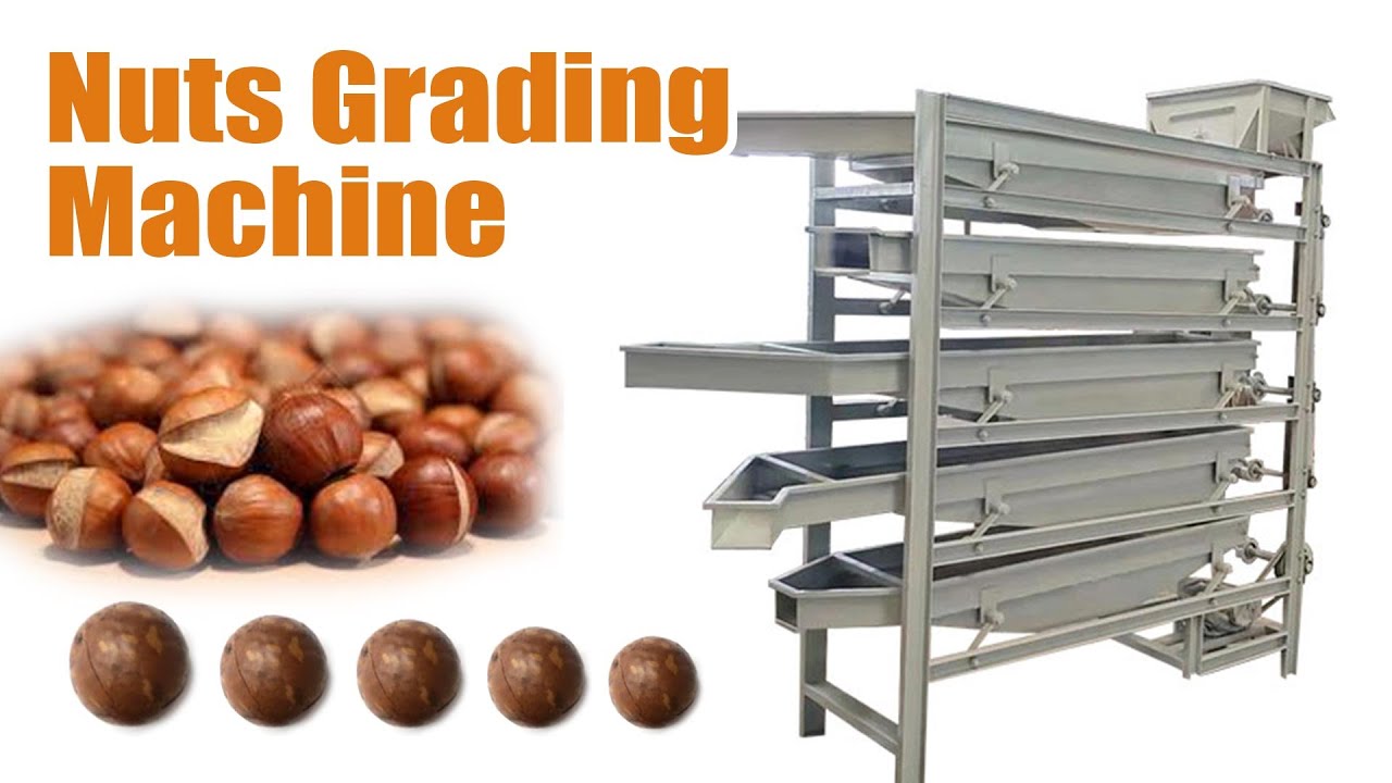 How Does A Nuts Grading Machine Work?#foodmachine #peanuts # ...