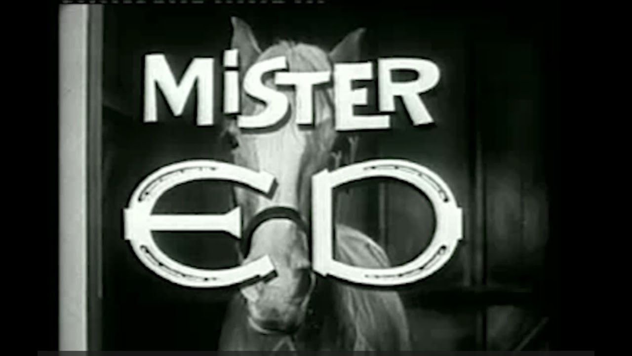 Mr ED, The Lost Episode - ( Good Audio). Mister Ed: Wilbur Gets The ...