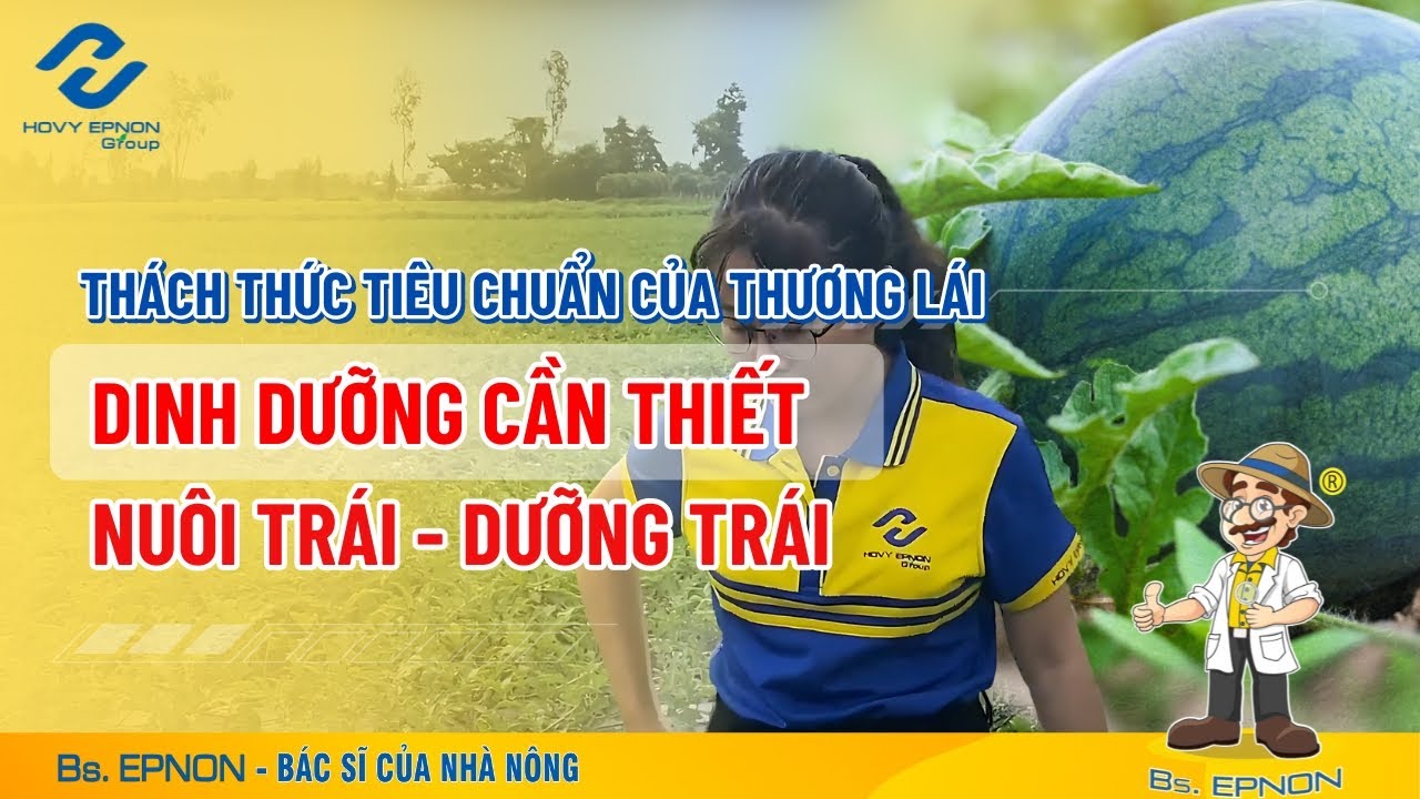 DINH DƯỠNG CẦN THIẾT CHO DƯA HẤU I HOVY EPNON Group #trongduahau # ...