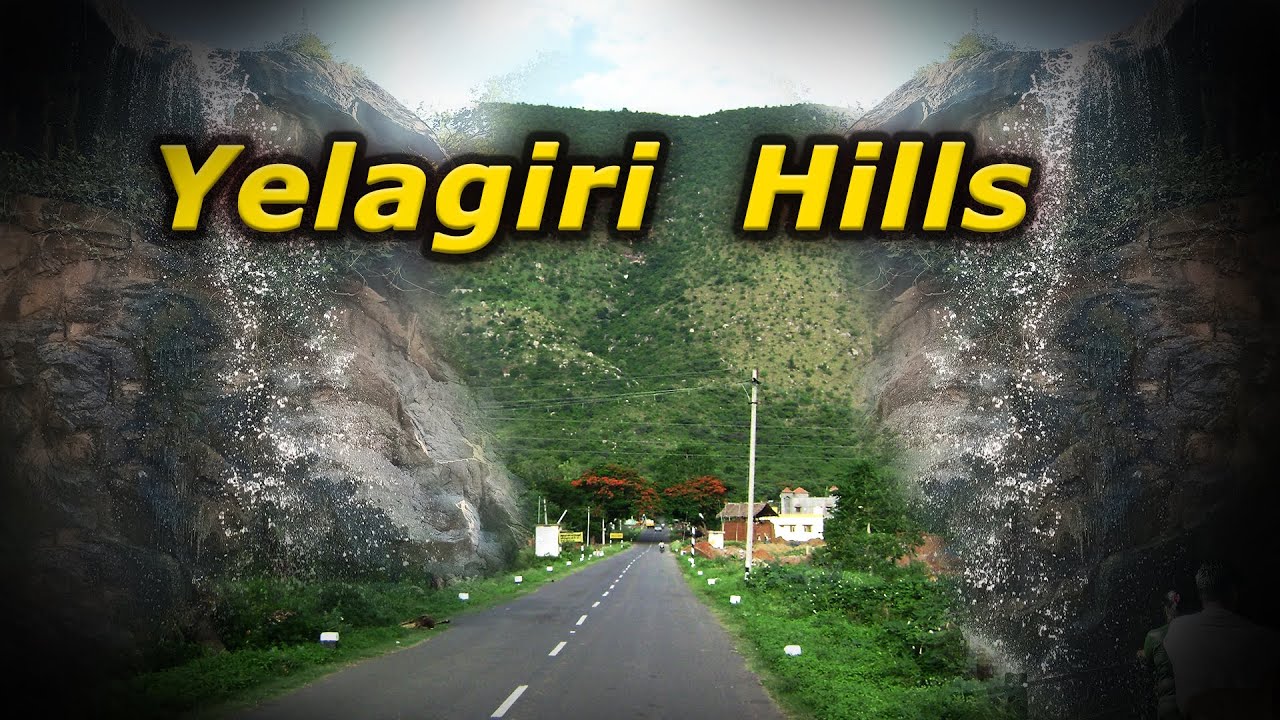 Yelagiri Hills || One Day Road Trip From Bangalore || Yelagiri Hills ...