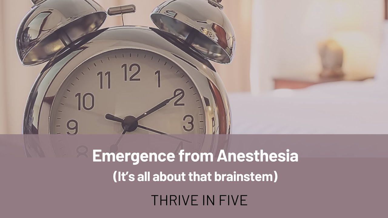 Thrive in Five: Understanding Emergence in Anesthesia - YouTube