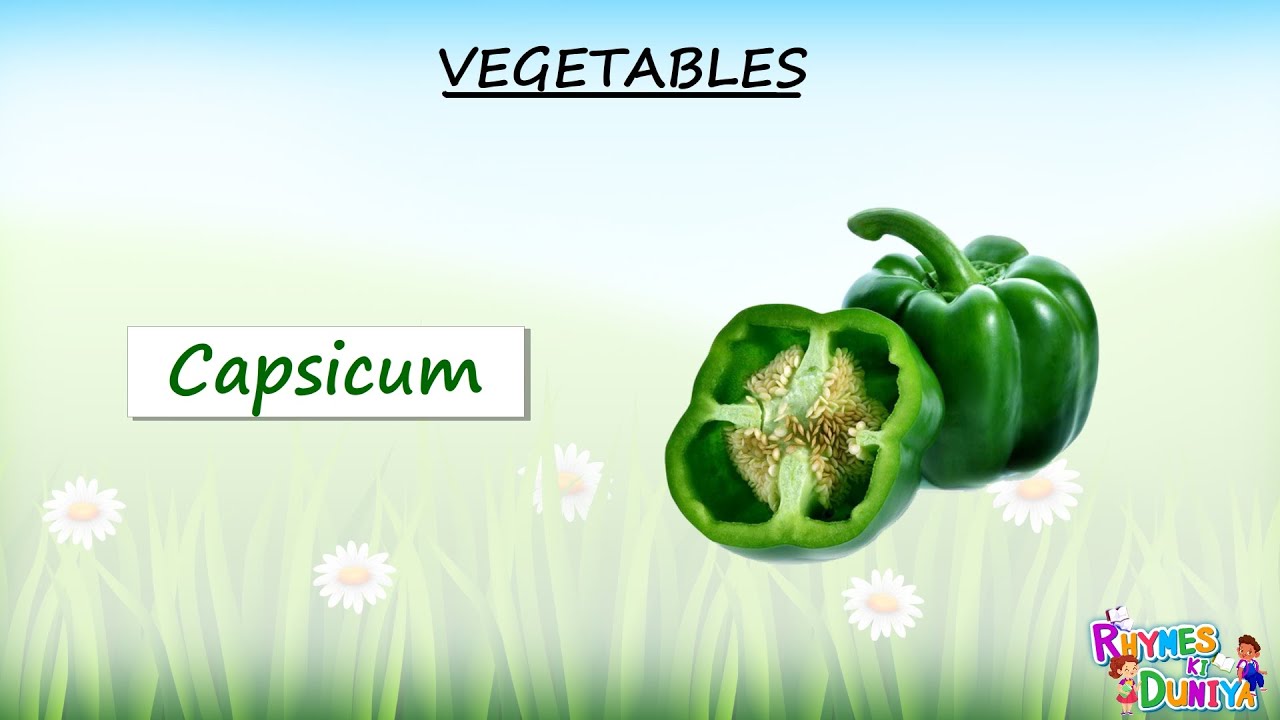 Vegetable Are Awesome! Learn Their Names with Fun! Jump Into vegetable ...
