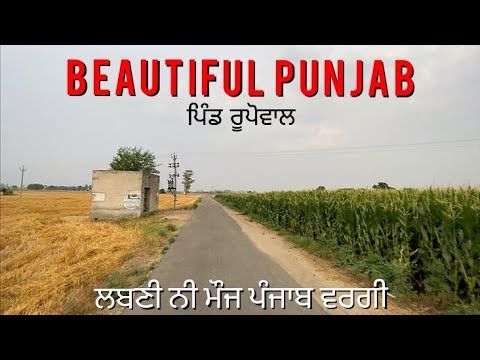 RUPOWAL ਰੂਪੋਵਾਲ PUNJAB || JALANDHAR, Beautiful evening of Punjab.Pind ...