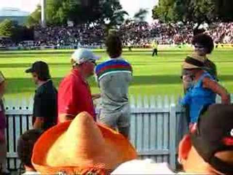 dancing cricket guy - YouTube