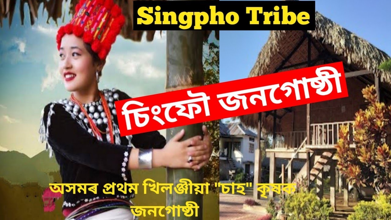 | What is Singpho tribe? | Singpho tribe dress | Singpho Tribe Tea ...