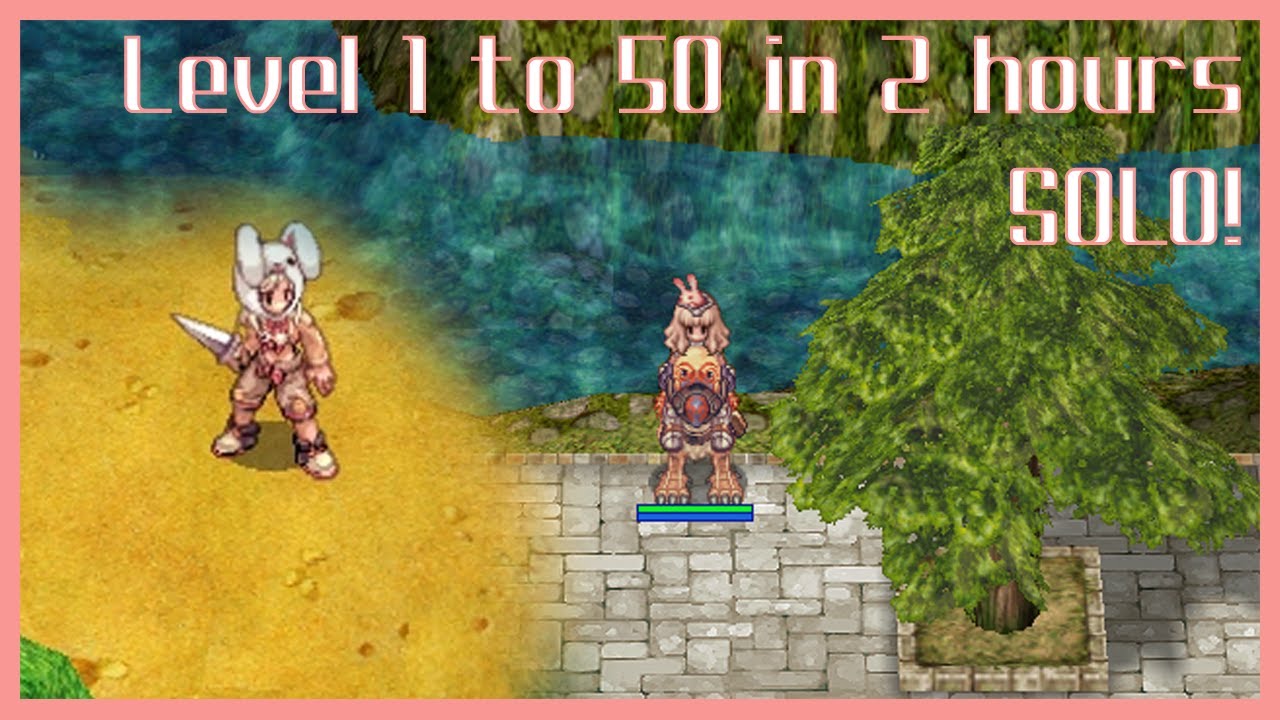 A quick and easy way to level to 50 solo | Ragnarok Project Zero - YouTube
