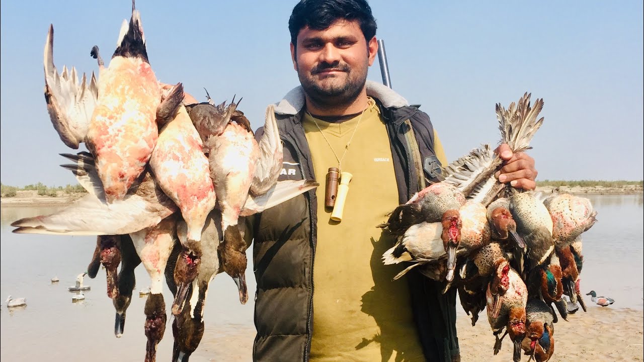 Duck hunting | Murghabi ka shikar | Duck Hunt | Hunting Bird in ...