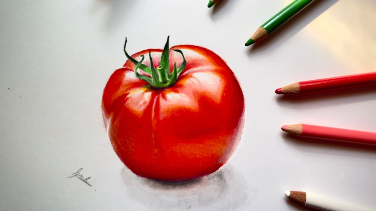 realistic drawing of tomato with color pencil \ how to draw tomato \ drawing with polychromos ...
