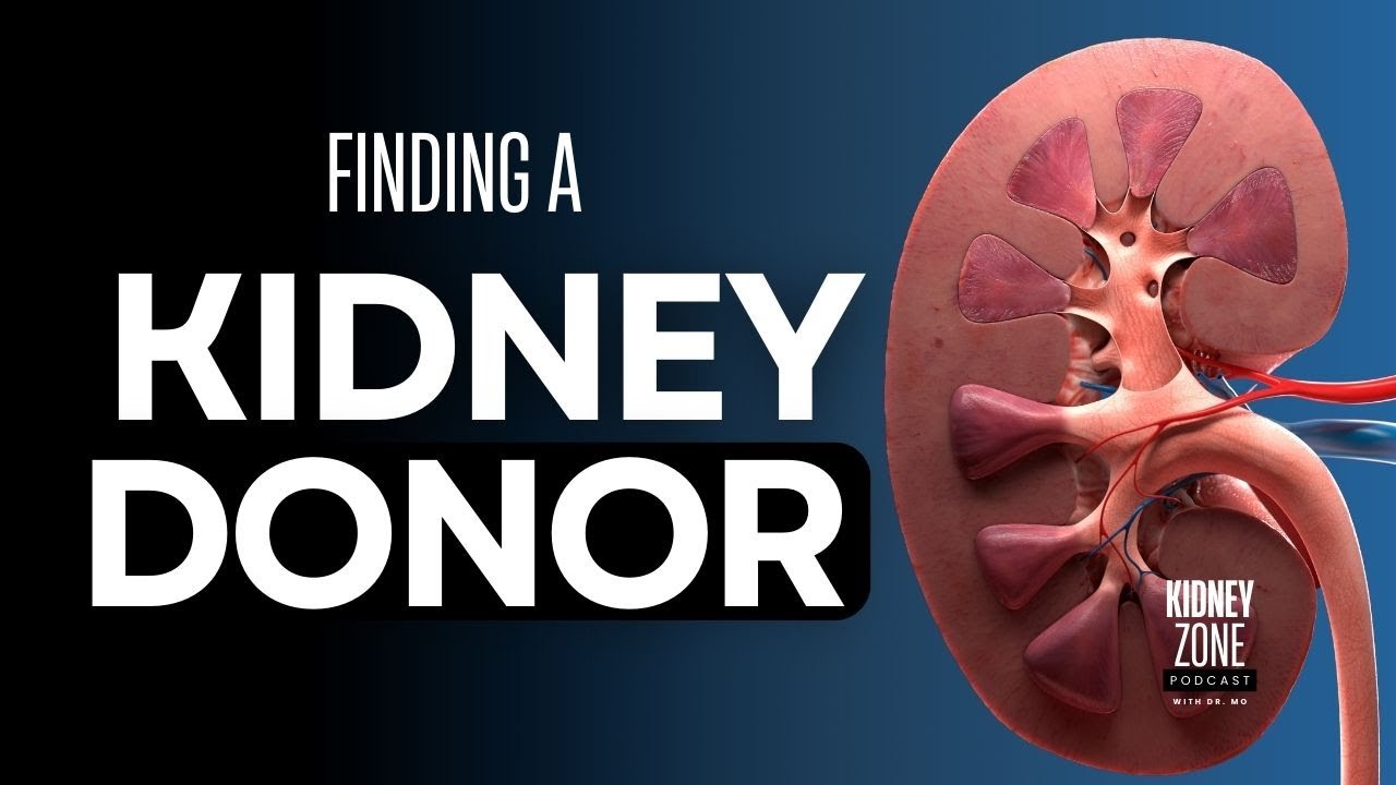 Finding a Kidney Donor: Strategies, Challenges, and Success Stories ...