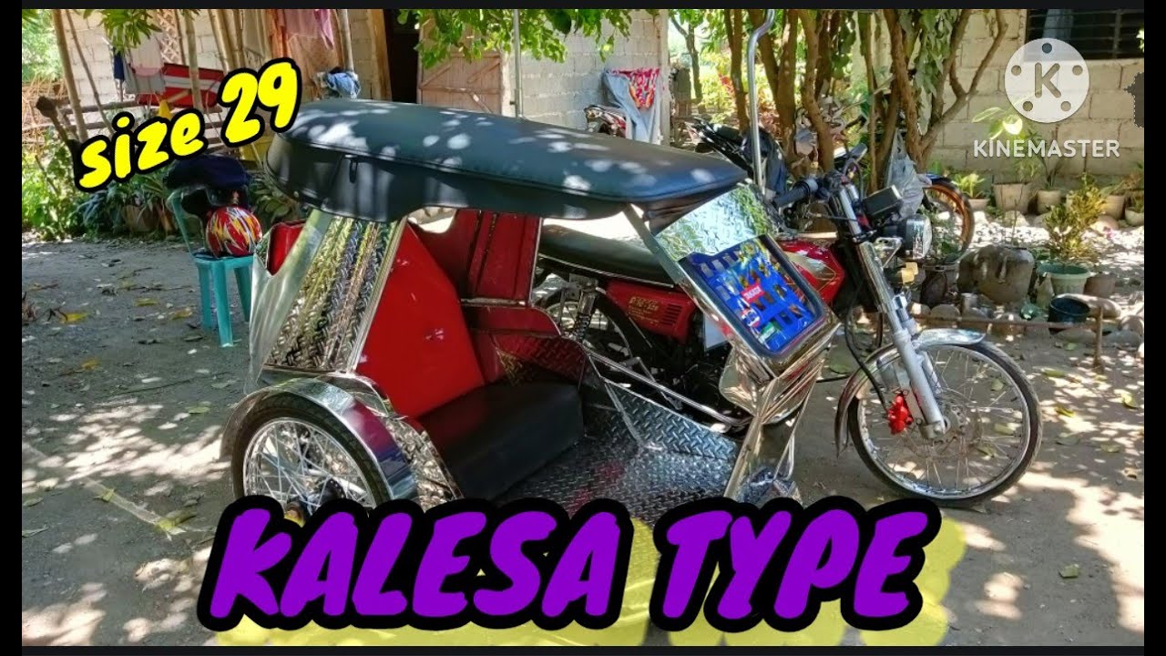 V11 SIZE29 KALESA TYPE SIDECAR HALF STAINLESS SOLID CUSTOMER FROM ...