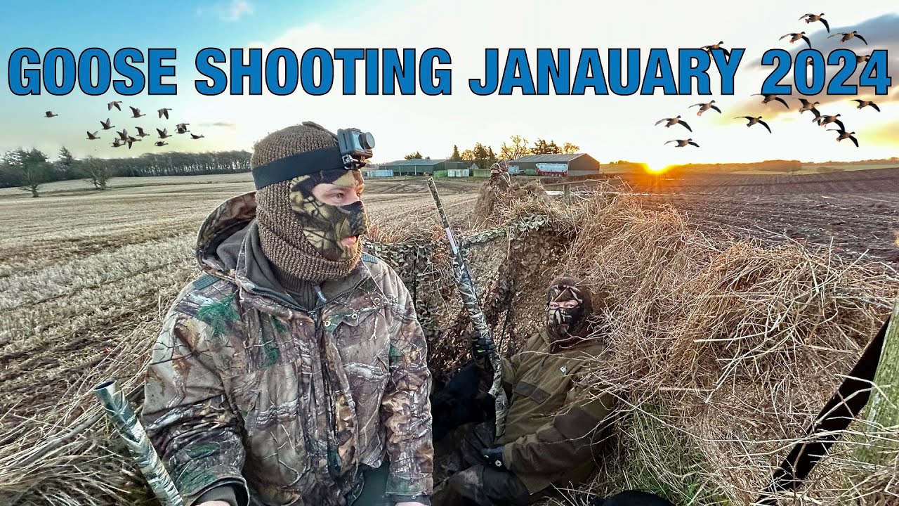 Goose Hunting !!! Goose Shooting January 2024 - YouTube