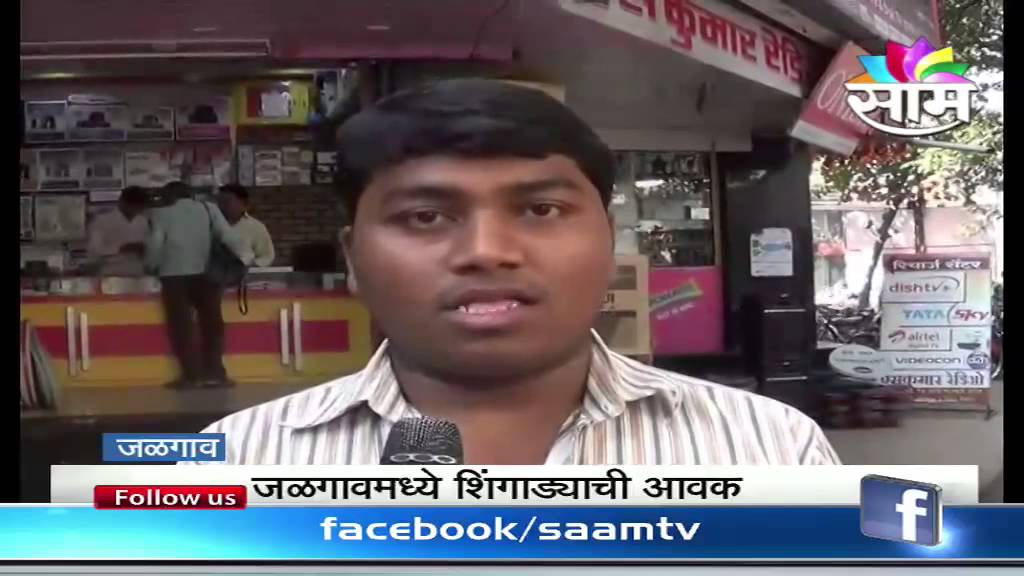 Shingada fruit sees increase demand in Jalgaon - YouTube