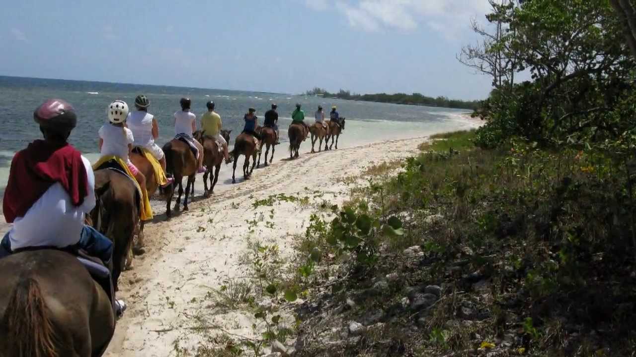 Braco Stables Horse Ride N Swim, Falmouth, Jamaica - YouTube