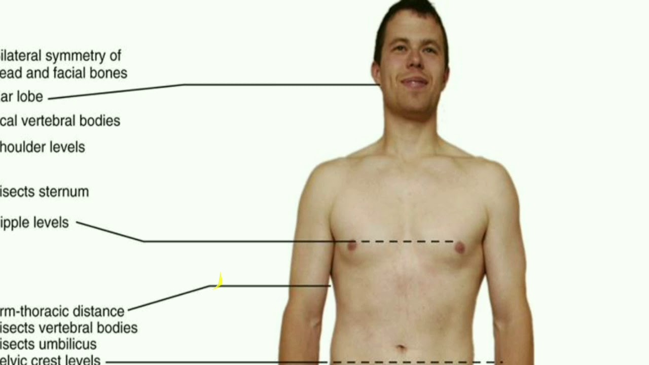 Frontal view analysis of posture - YouTube
