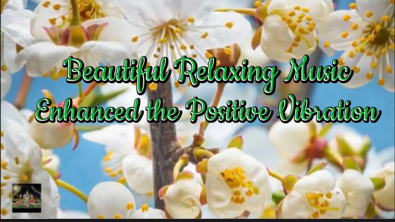 Beautiful Relaxing Music: Positive Vibration : Peaceful Instrumentals ...