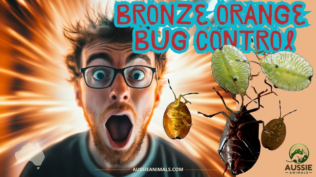 ULTIMATE Bronze Orange Bug Control | Natural Solutions for Citrus Trees ...