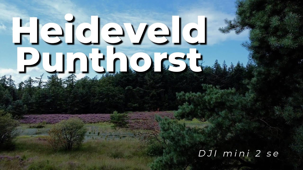 Heideveld Punthorst - YouTube