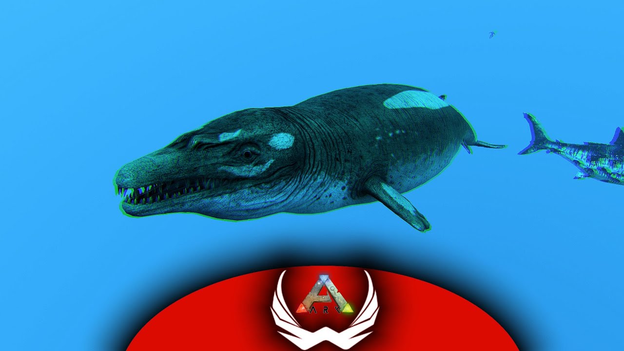 Basilo Preparation For Underwater Caves | Journey Through the Ark ...