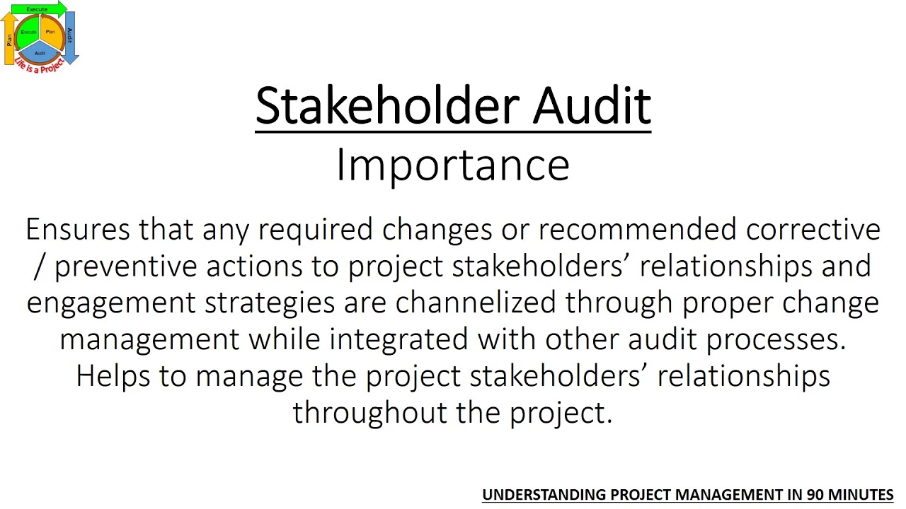 42 Stakeholder Audit Understanding Project Management in 90 Minutes ...