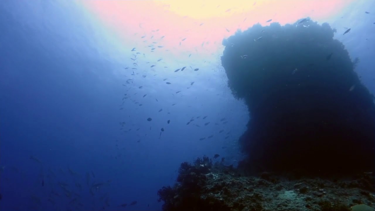 Expédition Sous-Marine En Mer Égée - YouTube