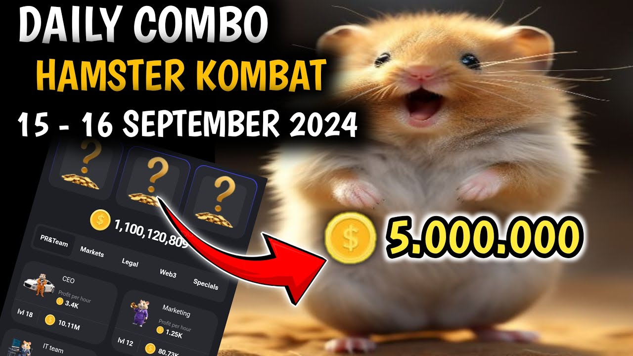 HAMSTER KOMBAT DAILY COMBO 16 SEPTEMBER | 15 TO 16 SEPTEMBER 2024 ...