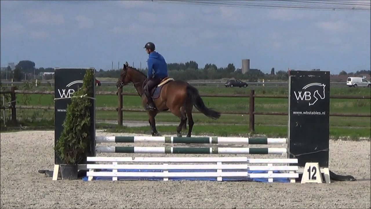 Chiquey - Wender R x Ahorn - YouTube