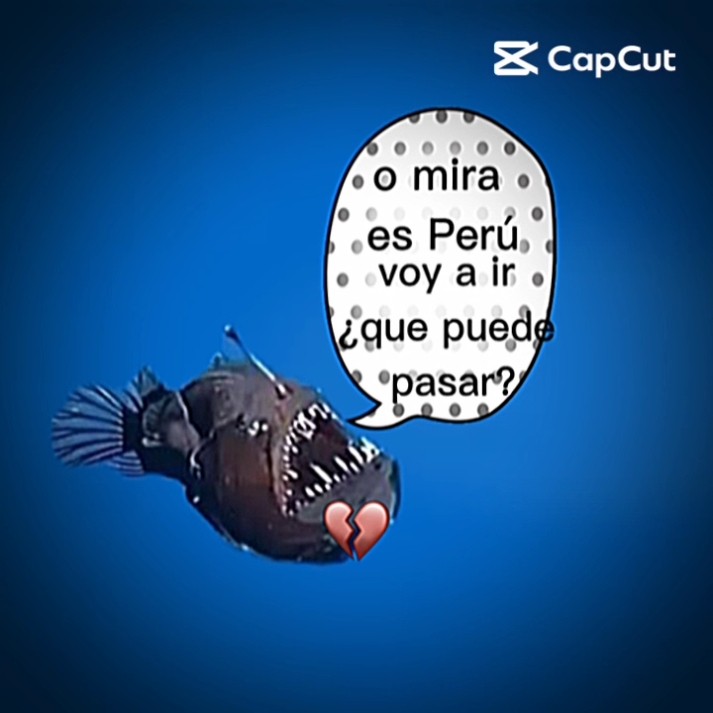 Pez diablo 🤝 ceviche #humor #memes #edit - YouTube