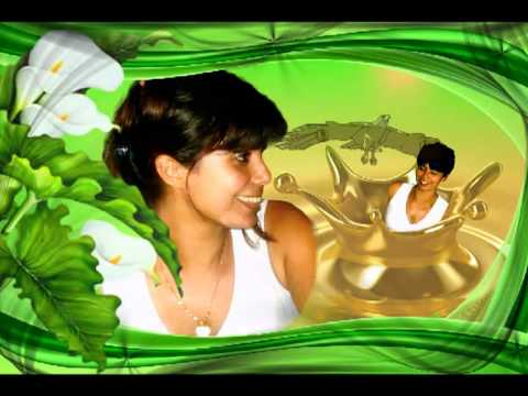 sel dada