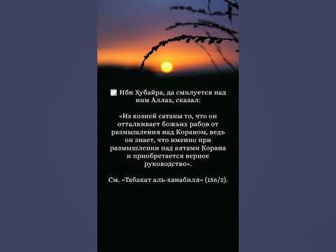 При размышлении над аятами Корана приобретается верное руководство. Ибн ...