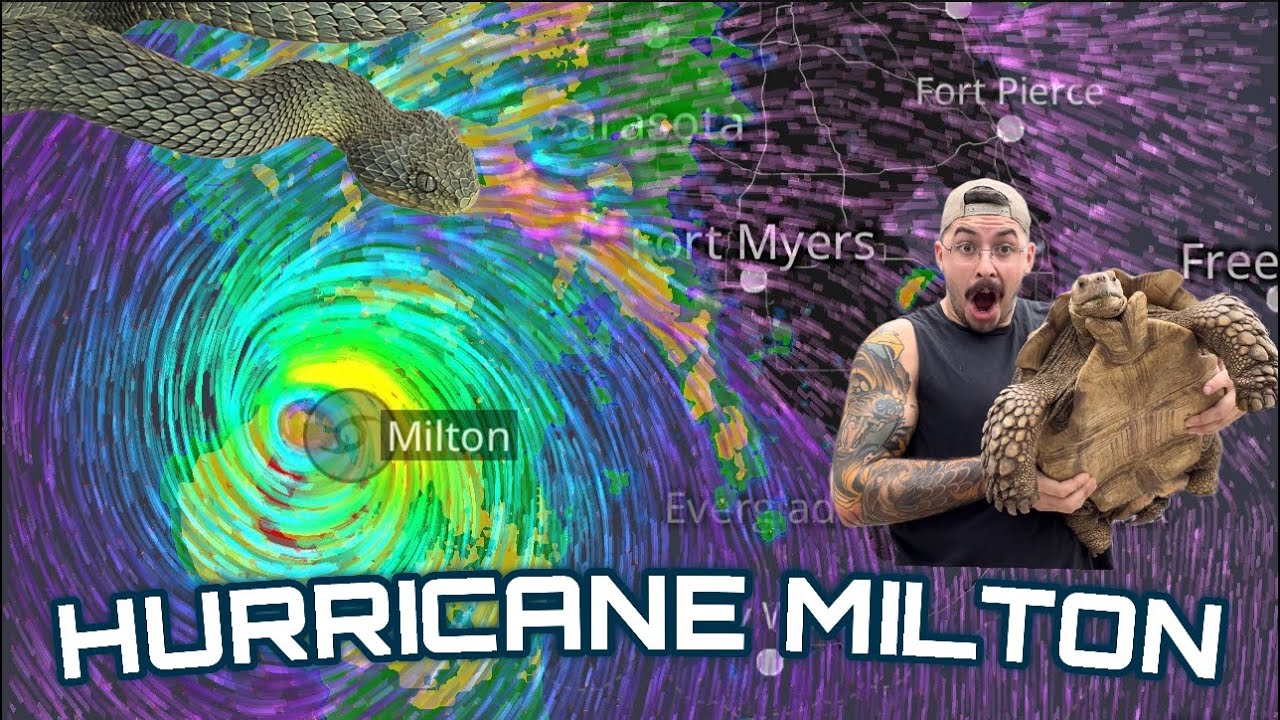Preparing my Reptiles for Hurricane Milton! - YouTube