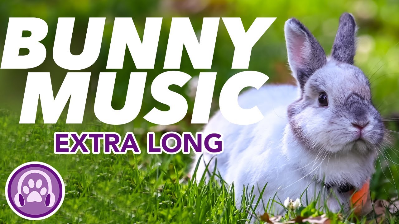 EXTRA LONG Music for Rabbits - 20 HOUR Lullaby for Bunnies - YouTube