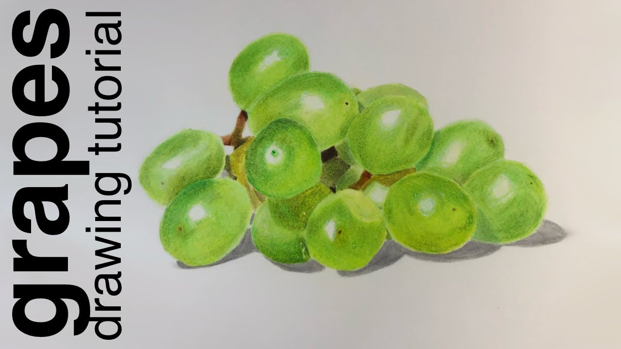 How to draw grapes with colored pencils | colored pencil drawing ...
