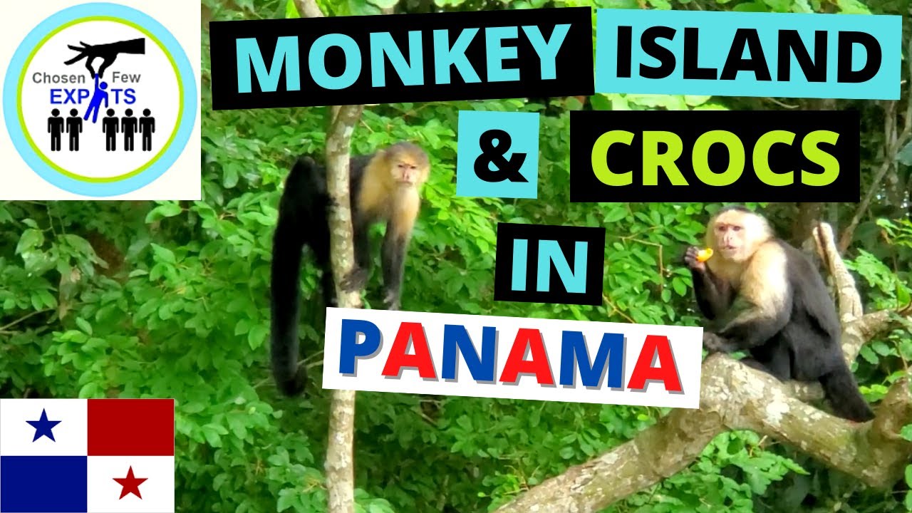 Monkey Island Tour Panama