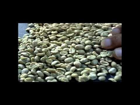 Vídeo Evolução Brejetuba 2013