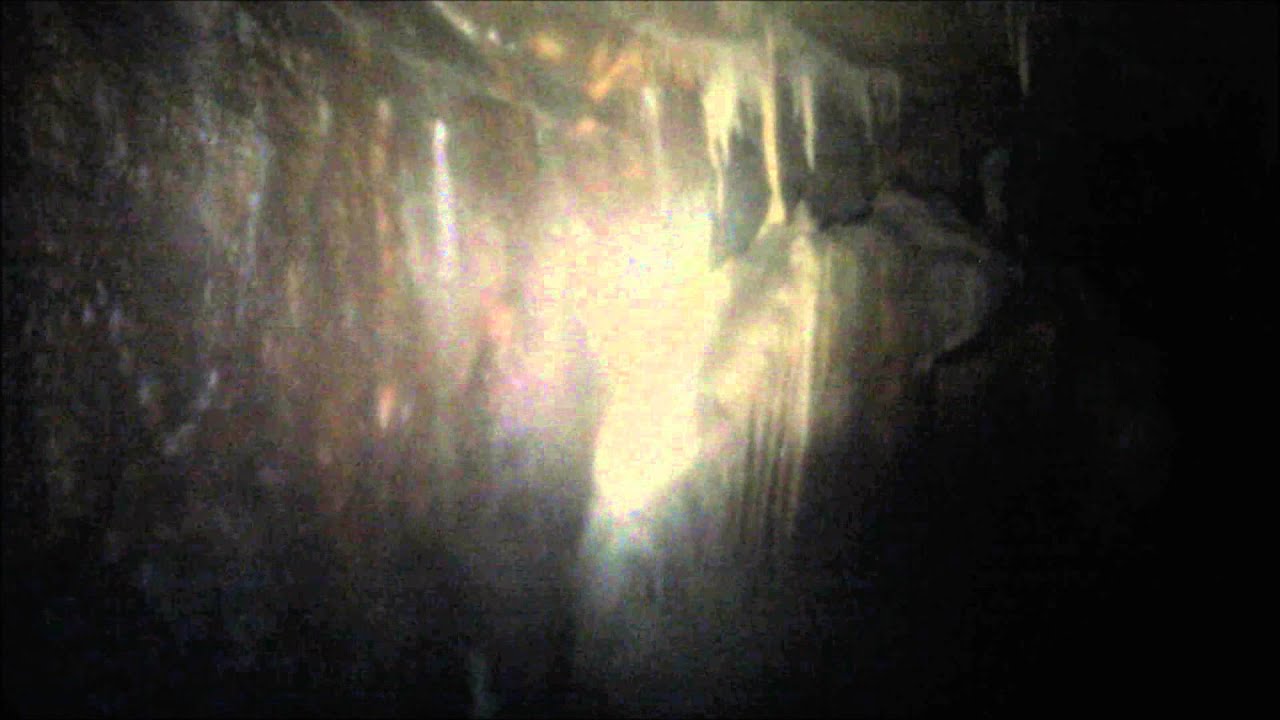 Tyson Spring Cave - Video 1 - 31 Jan 2015 - YouTube