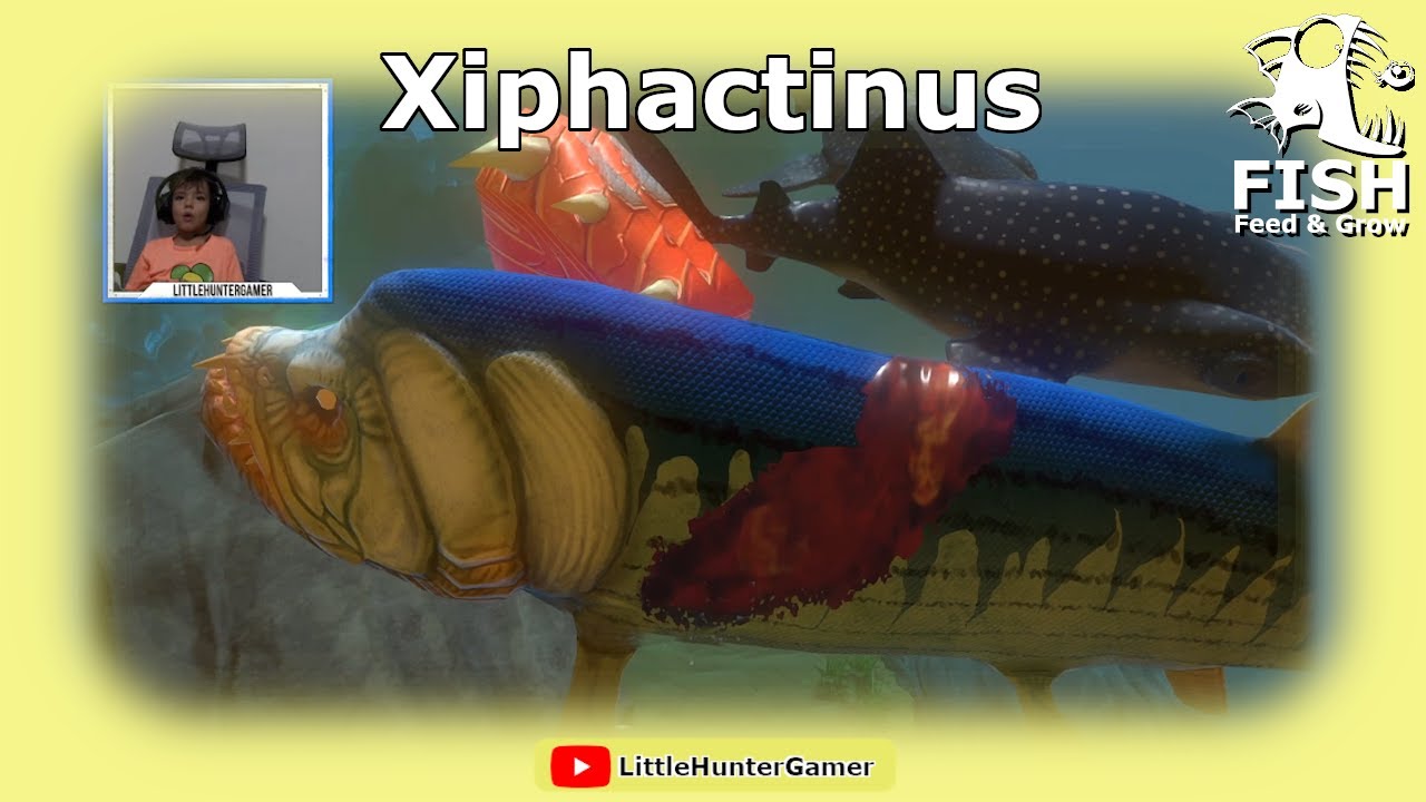 The SECRET of leveling FAST - Xiphactinus - Feed and Grow Fish - Ep13 ...