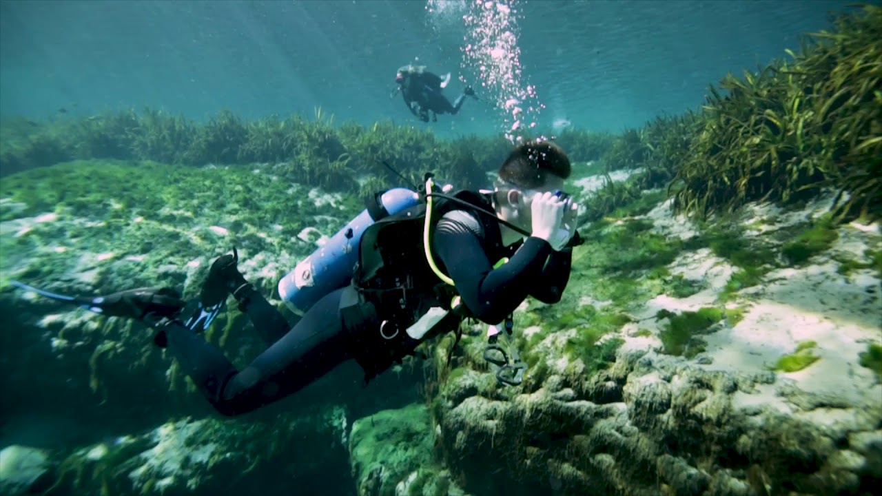 ScubaLab Testers Choice: Zeagle Scope Dual Mask - YouTube