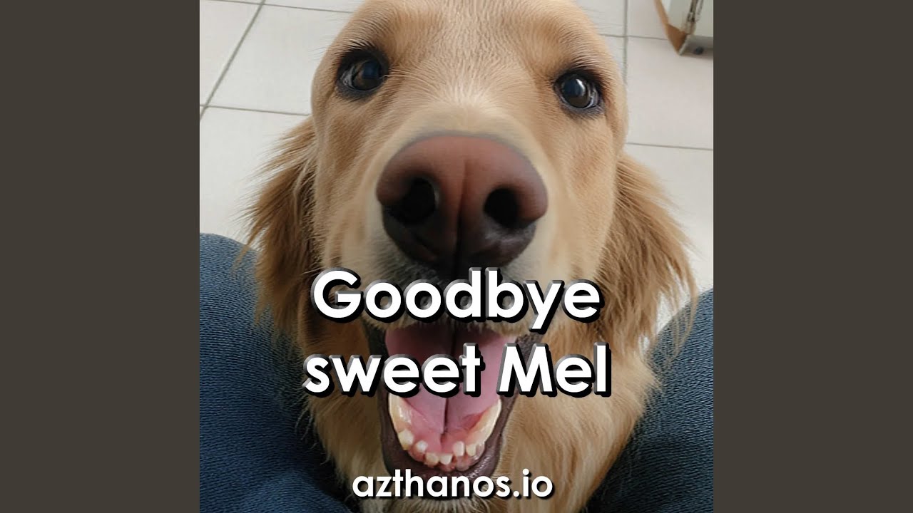 Goodbye sweet Mel - YouTube