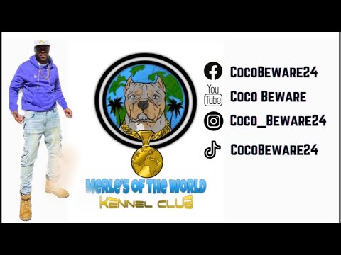Coco Beware is going live!bathing Foxxy and feed time come watch - YouTube